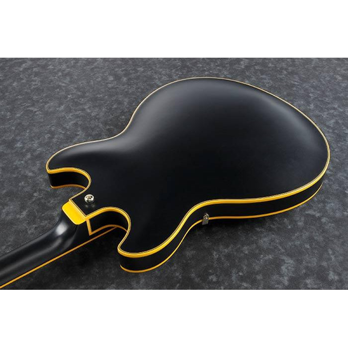 Ibanez JSM20BKL John Scofield Signature, Black Low Gloss, Ebony FB ...